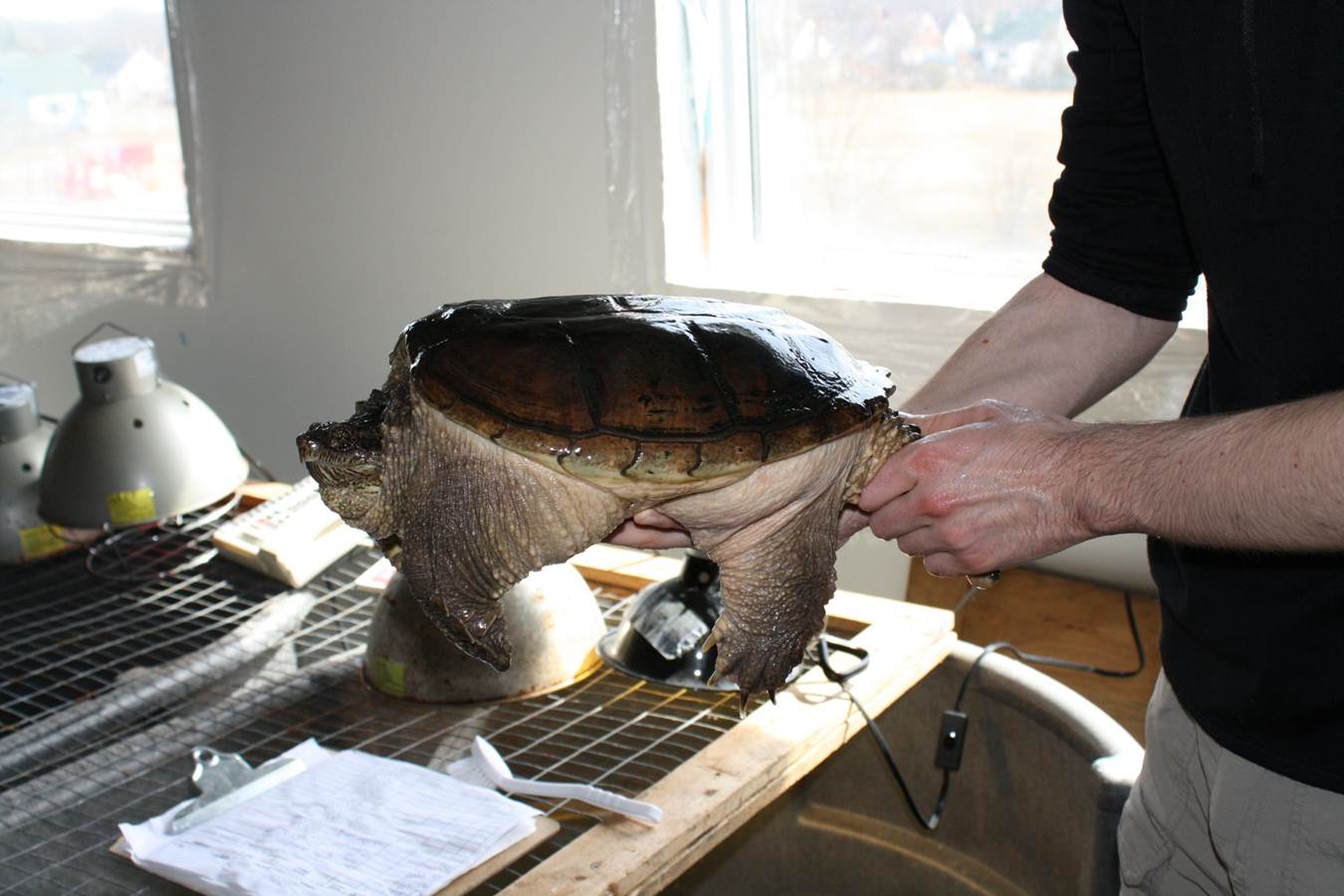 Hobbitstee Wildlife Refuge